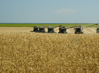 Un eveniment pentru fermieri, Romanian Agri Trade Summit - REVISTA ...